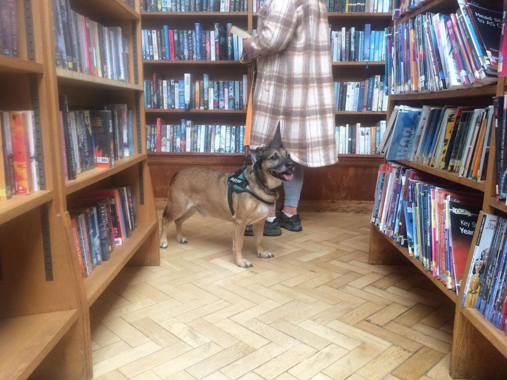 Perivale Community Hive – Community Managed Library